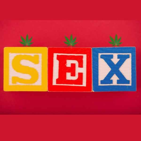 Cbd Oil And Your Libido Can Cbd Make Sex Better